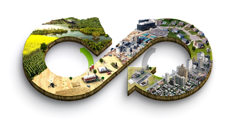 Camera de Comert Timis invita firmele sa se inscrie la conferinta ...