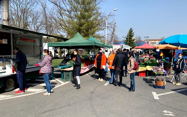 Directorul SC Piete SA Timisoara, acuzatii la adresa politistului Alex ...