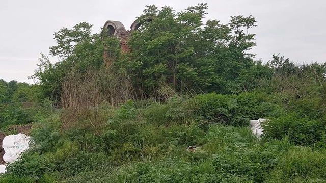Un monument regal din Timis, salvat de "Covid-Verde" si redat ...