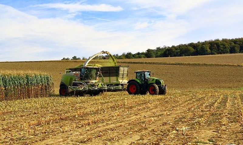Tranzactie uriasa cu terenuri, in Timis! Este vorba despre 1675 de ...