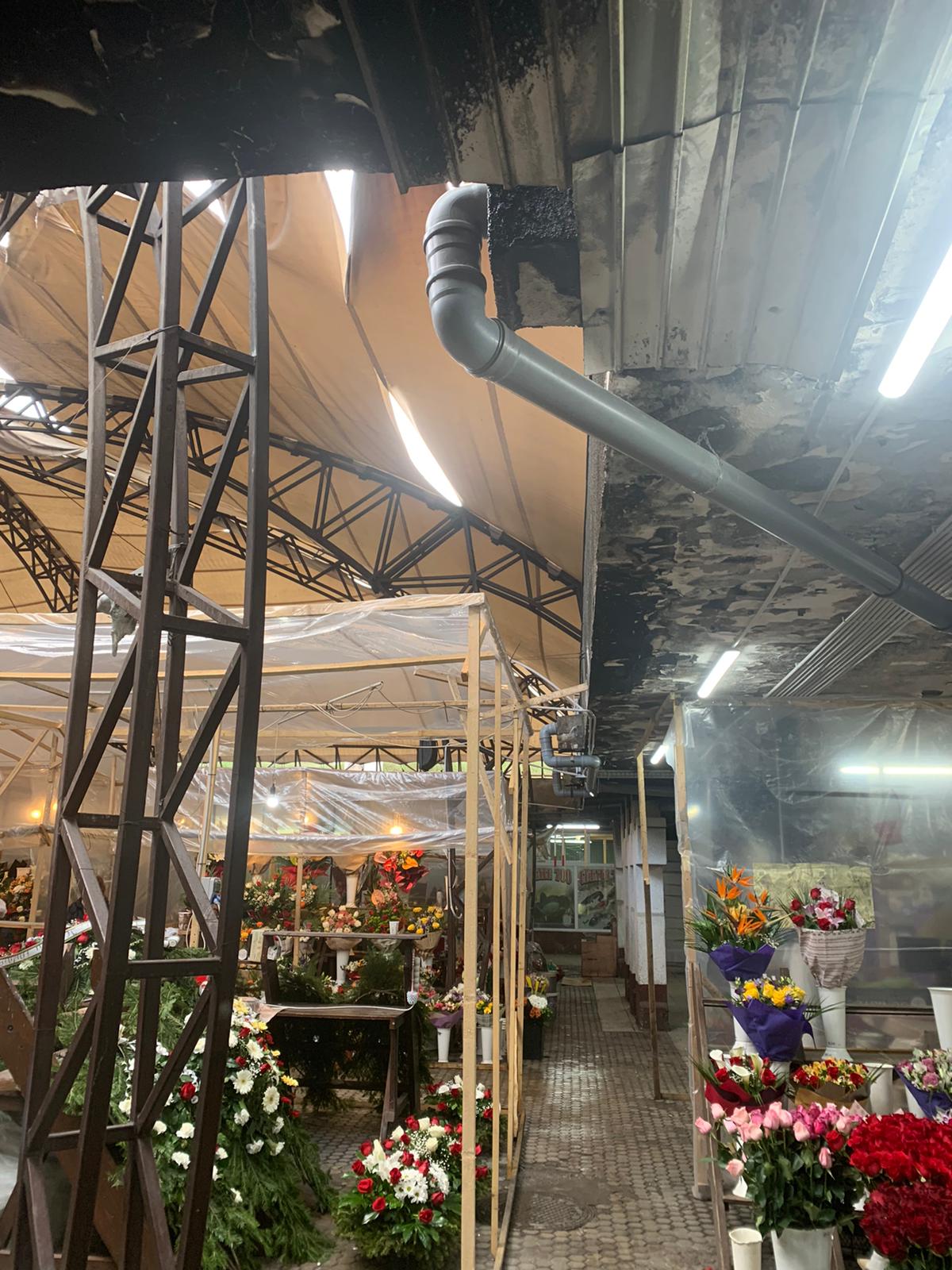 VIDEO. Florarii din Piata 700 Timisoara se plang ca au fost abandonati ...