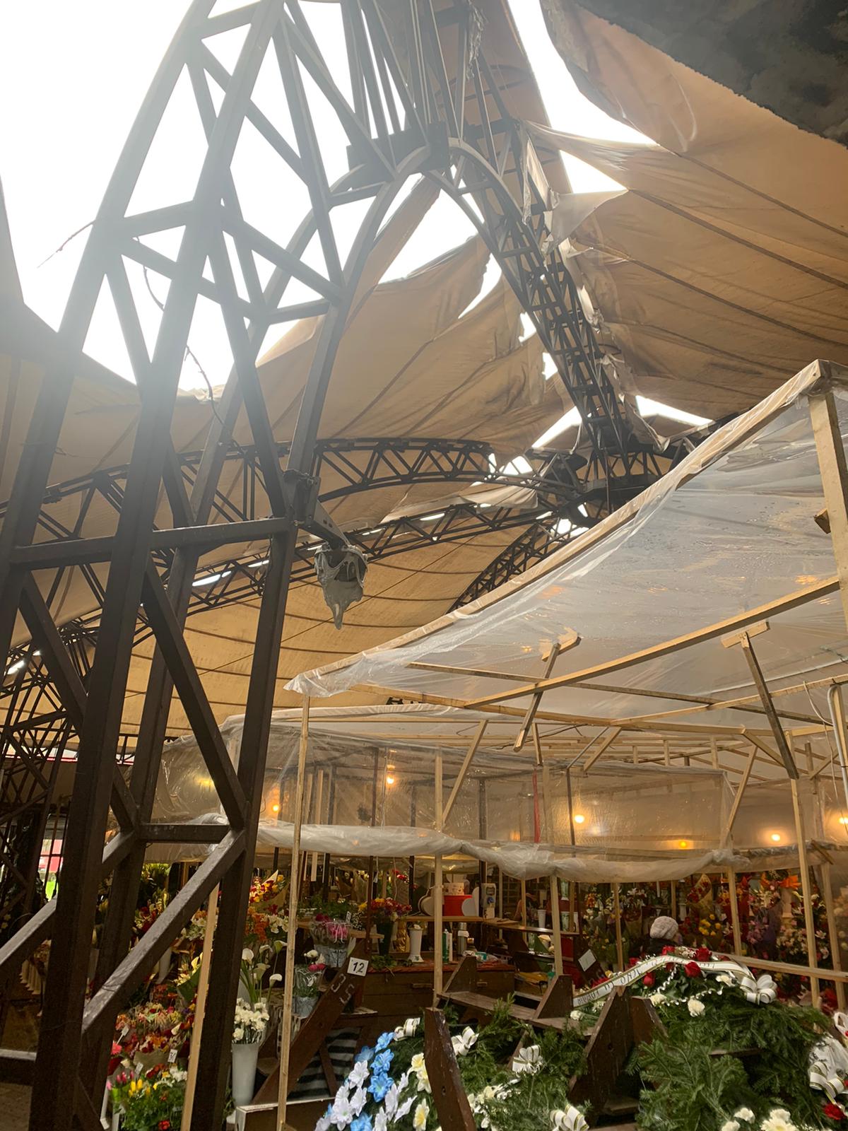 VIDEO. Florarii din Piata 700 Timisoara se plang ca au fost abandonati ...