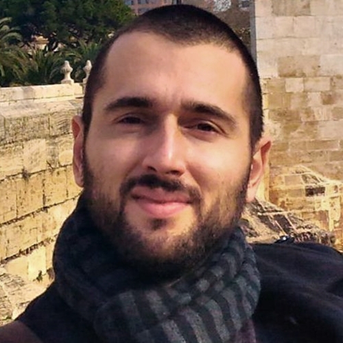 Victor Neumann a devenit "istorie" la conducerea Muzeului de Arta ...