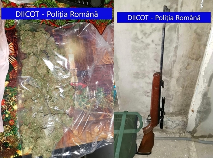 Cannabis pazit cu pusca! Procurorii DIICOT Timisoara au retinut un ...