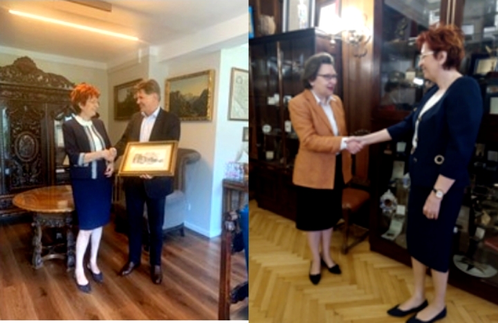 Firmele si companiile din Timis, conectate cu lumea afacerilor din ...