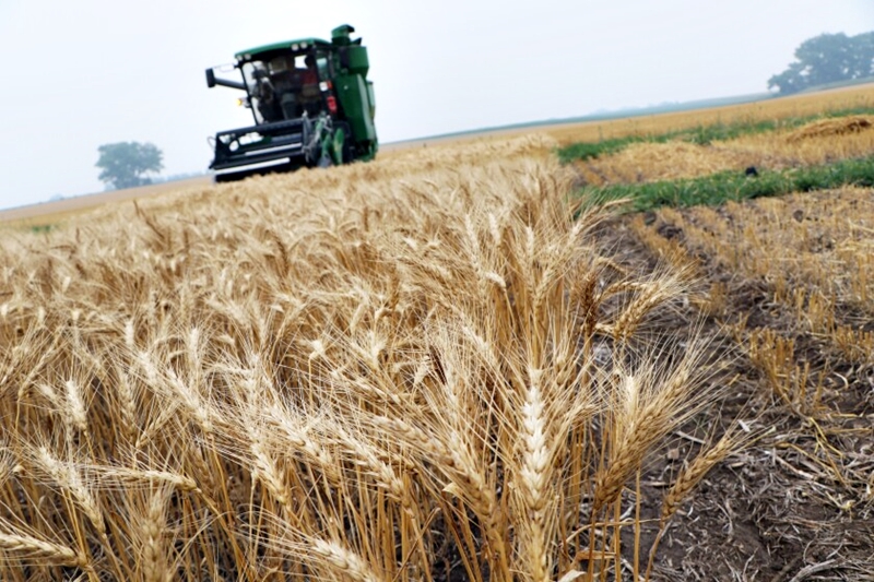 CCIA Timis avizeaza existenta cazurilor de forta majora. Fermierii din ...