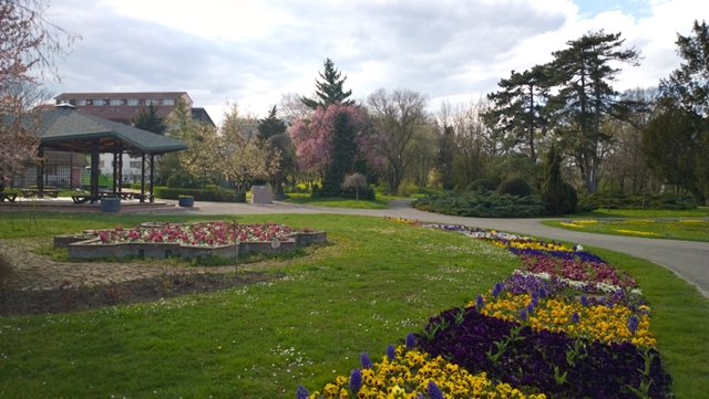 Parcul Botanic din Timisoara intra in santier! Investitie de peste 2 ...