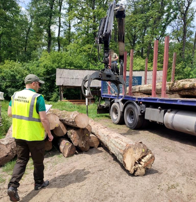 Garda Forestiera Timisoara, controale in padurile din vestul tarii ...