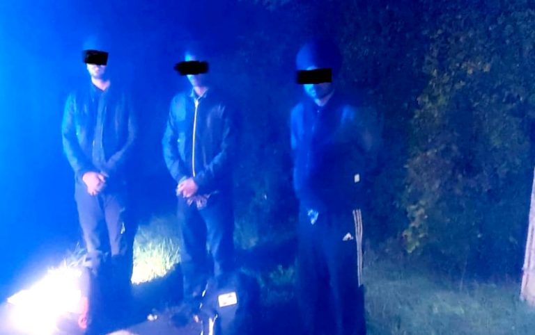 Invazie de migranti, in Timisoara! Trei indieni care fugeau pe marginea ...