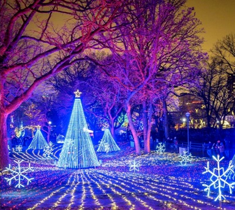 Parcul Craciunului de la Muzeul Satului Timisoara isi deschide portile ...
