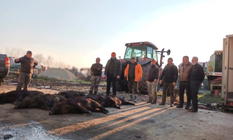 PE SURSE Partida de vanatoare cu usoare urme de braconaj! Politistii de ...
