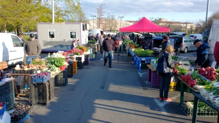 Program special de sarbatori, la Piata Volanta Stadion din Timisoara ...