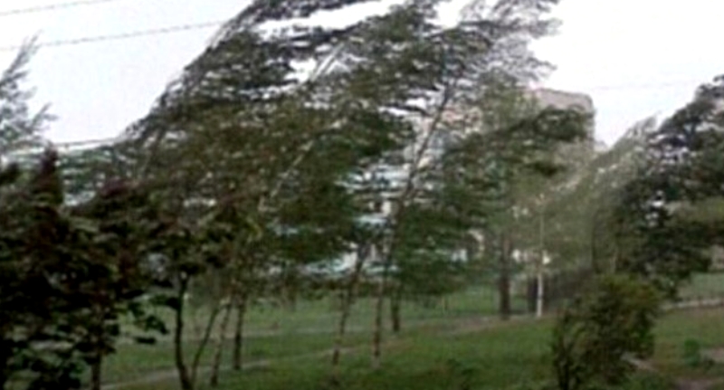 METEO / Atentionari de vant puternic in Timis. VEZI localitatile vizate ...