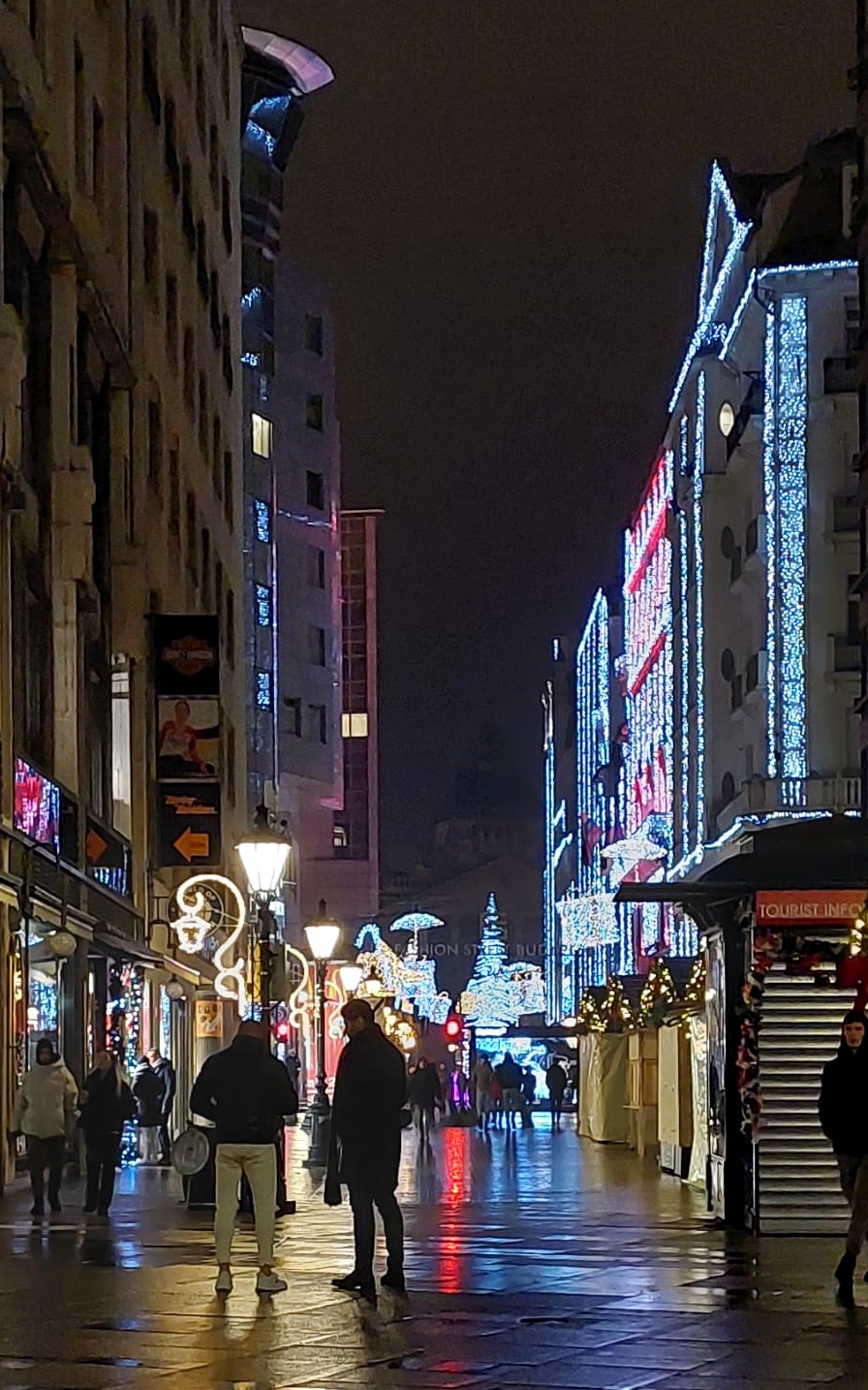La doar 300 de kilometri de Timisoara, cel mai frumos targ de Craciun ...