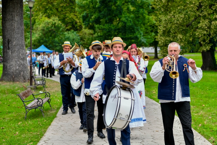 Festivalul Fanfarelor de la Timisoara reuneste 10 redutabile formatii ...