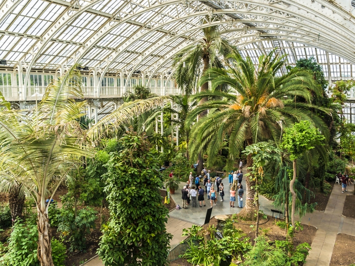 Asociatia Gradinii Botanice Timisoara - un pas important pentru ...