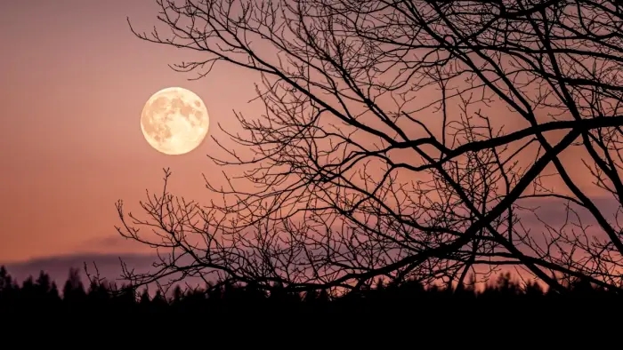 Superluna Lupului din noaptea de 3 ianuarie 2026, spectacolul pe cer ...