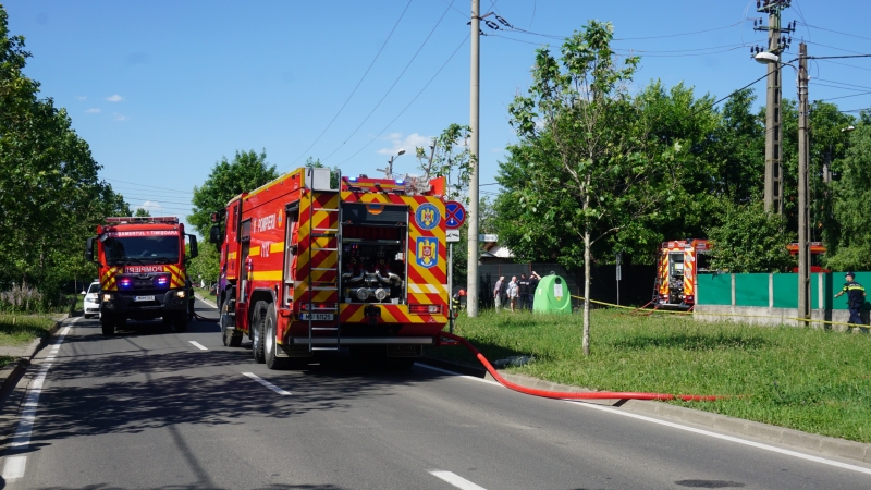 Incendiu pe strada Dragos Voda din Timisoara! Un caine a pierit, in ...